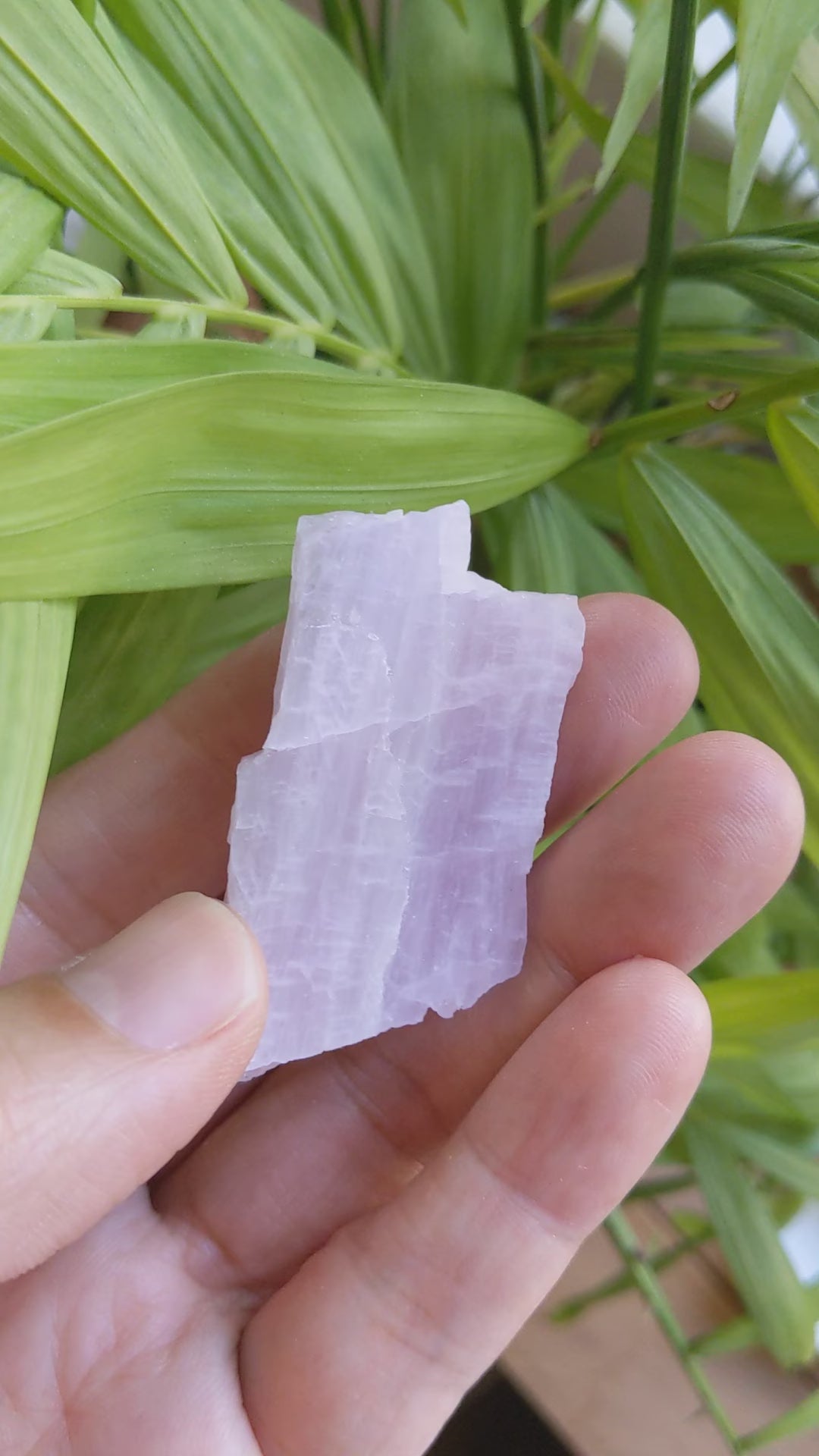 クンツァイト（A) 慈愛のハーモニー – Kaoru Sydney