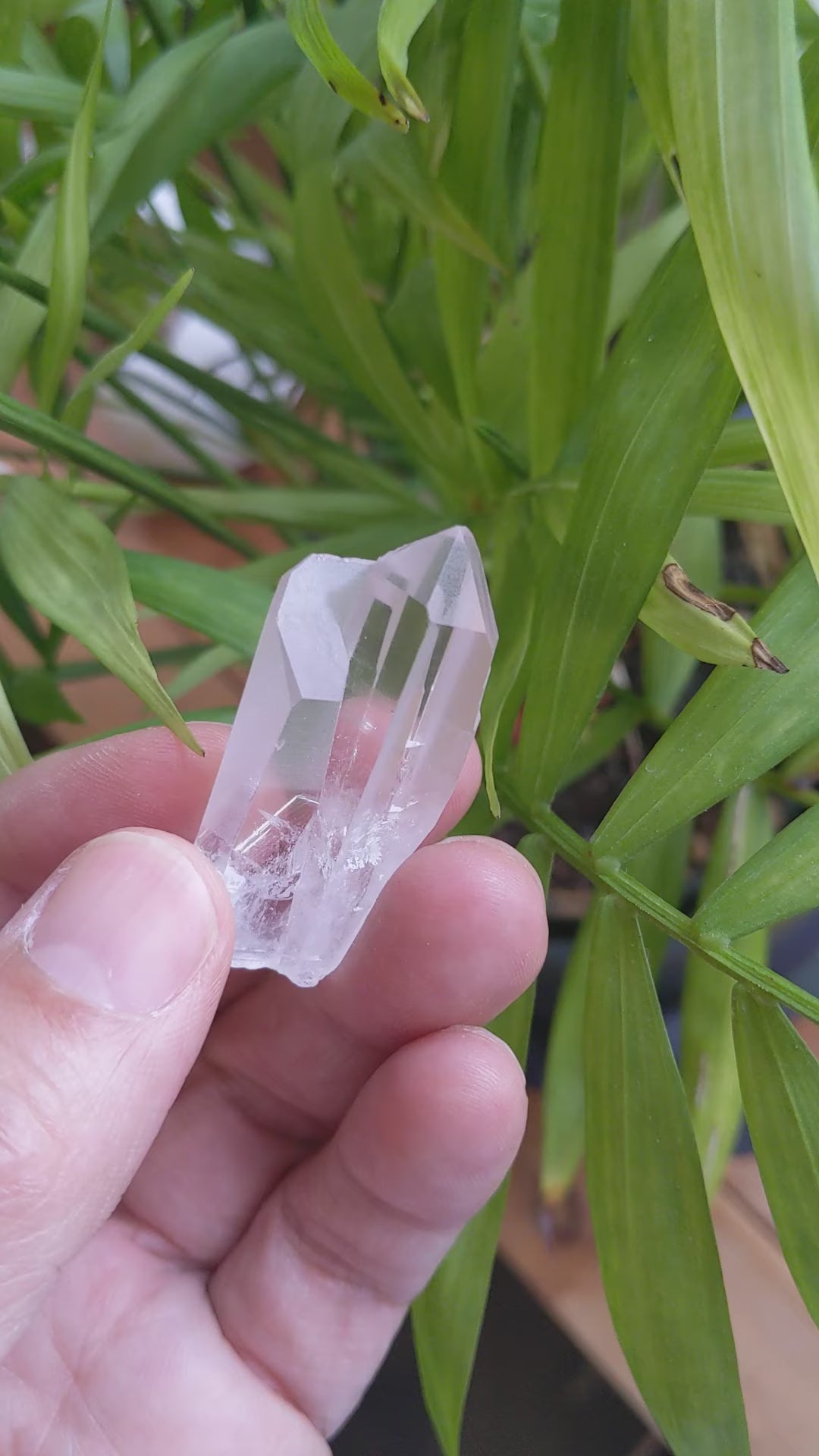 レムリアンシード・クリスタル・ツインソウル MAR06 – Kaoru Sydney