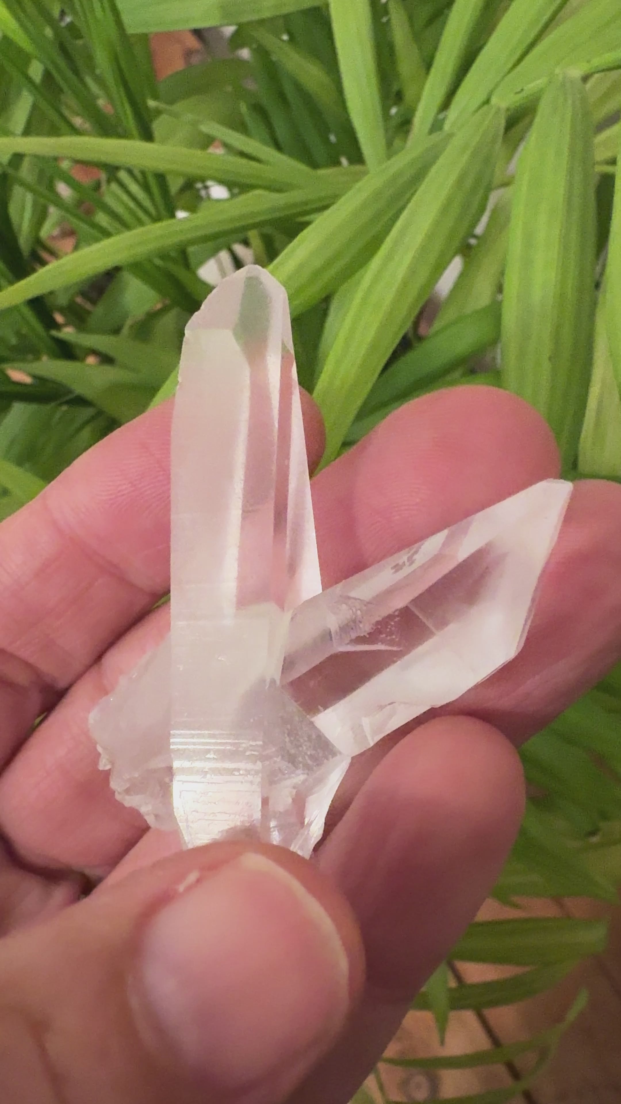 レムリアンシード・クリスタル・ツインソウル【アクエリアス】AQ01 – Kaoru Sydney